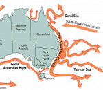 Why is the East Australian Current Behaving so Badly? | setfia.org.au
